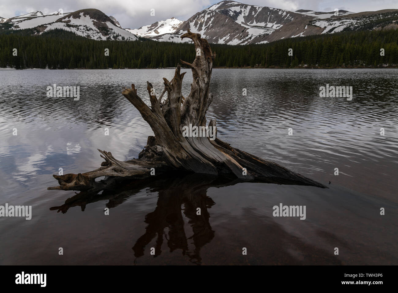 Brainard Lake Recreation Area - Ward, Colorado Stock Photo - Alamy