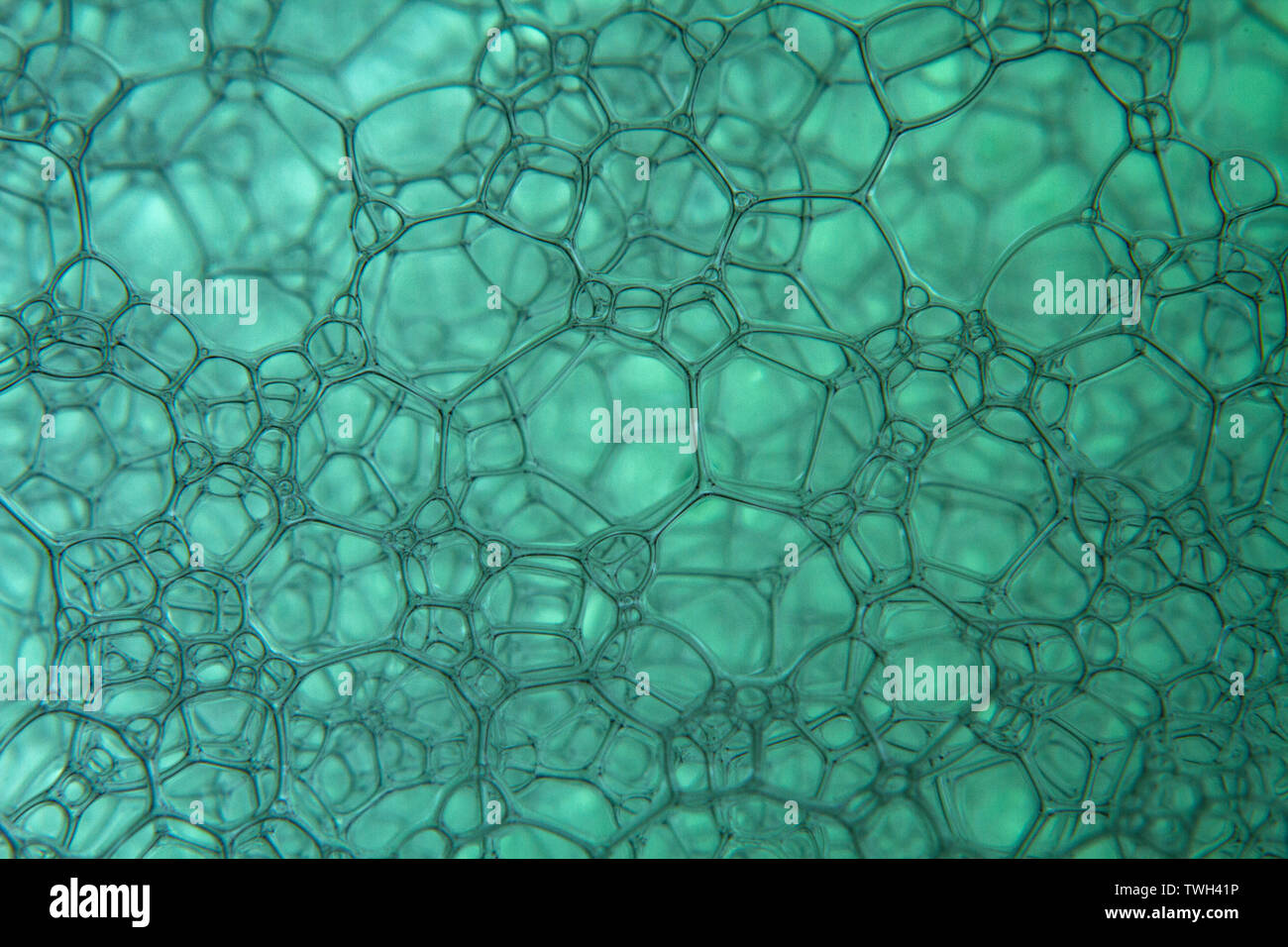 Soap bubbles macro shots picture Stock Photo - Alamy