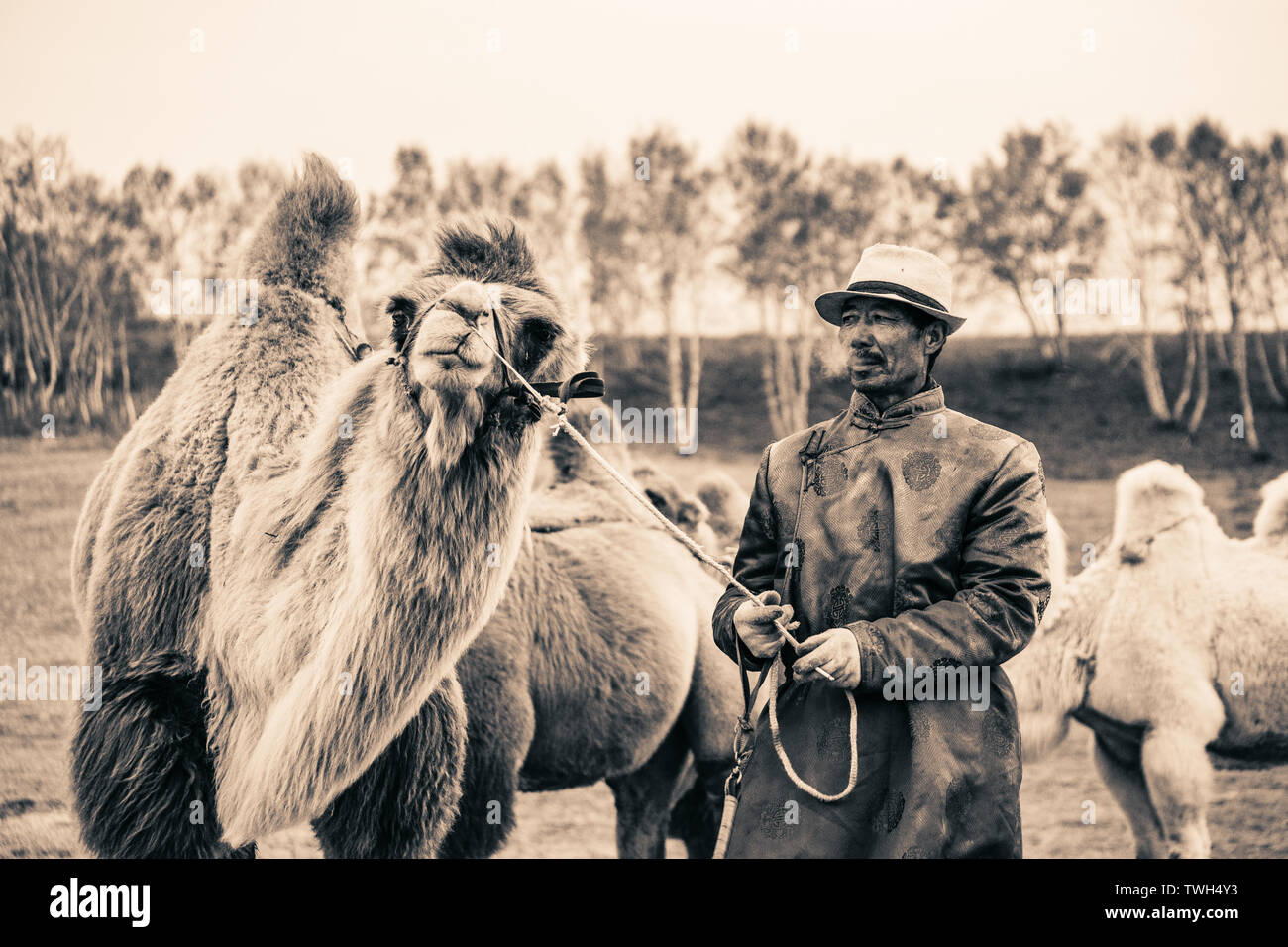 Uncle and male take a seat hi-res stock photography and images - Alamy