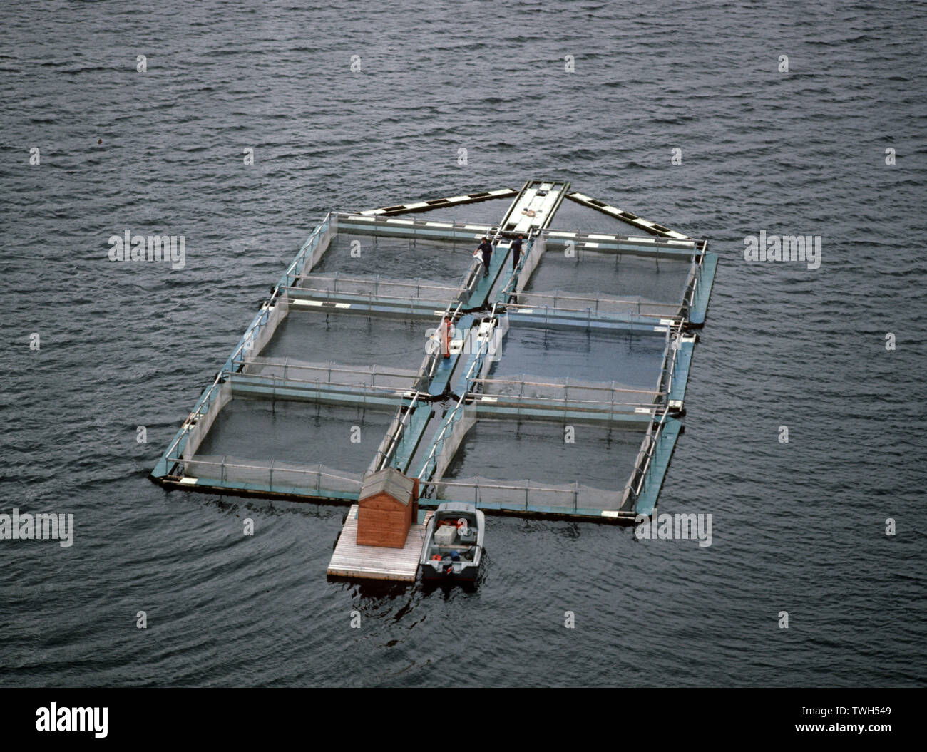 Salmon fish farms in Scottish Loch, West Coast of Scotland Stock Photo ...
