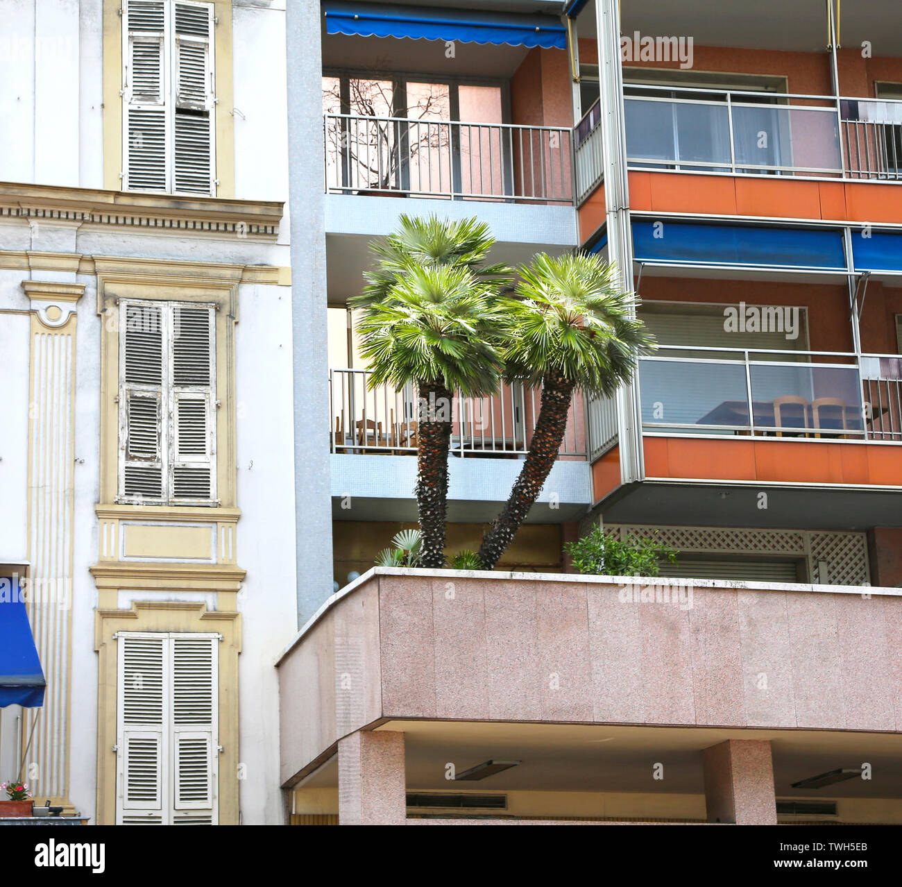 Monaco, Monaco - June 13, 2014: palm trees growing on the balcony of a ...