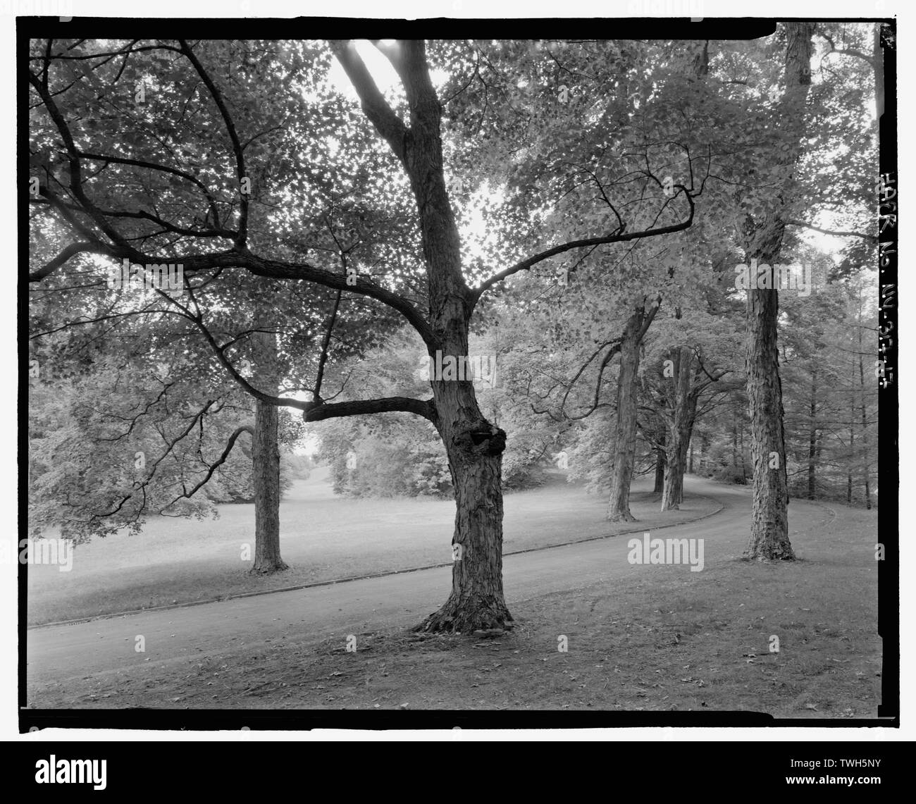Road view inside dock street gate, NPS Route 12, view NE. - Vanderbilt ...