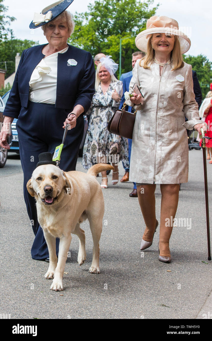 Ascot, UK. 20 June, 2019. A guide dog wearing a top hat accompanies ...