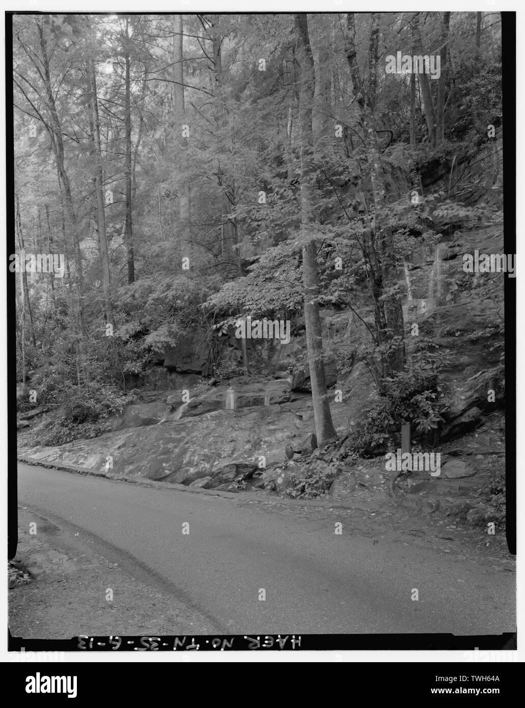 Todd bridges Black and White Stock Photos & Images - Alamy