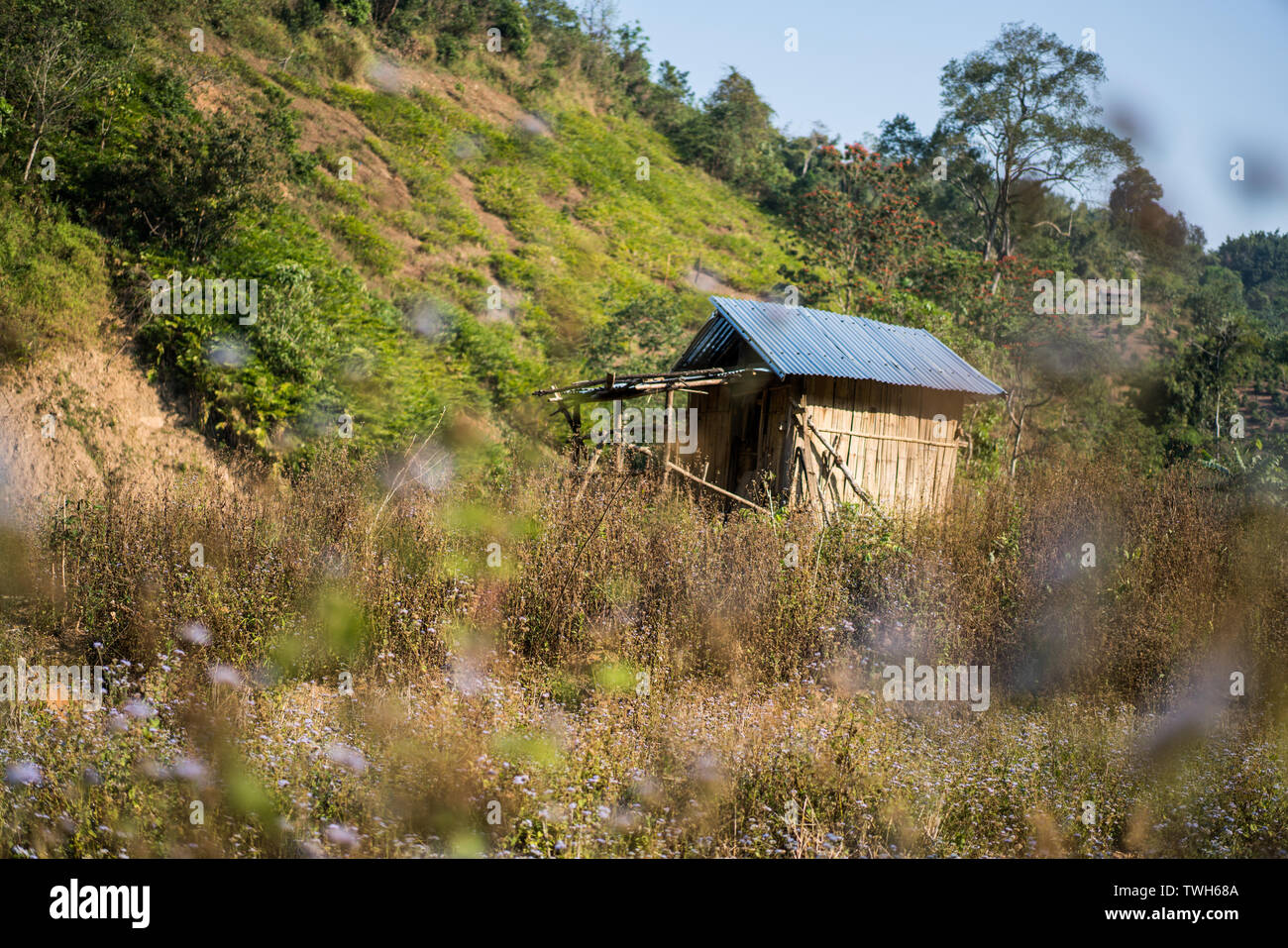 landscape near of the Phongsali, Laos, Asia Stock Photo - Alamy