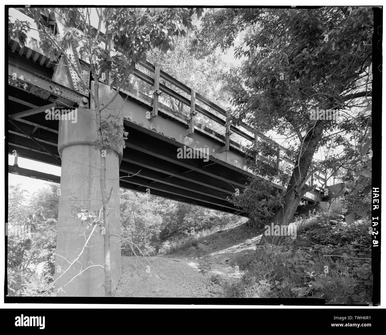 Eagle point of view Black and White Stock Photos & Images - Alamy