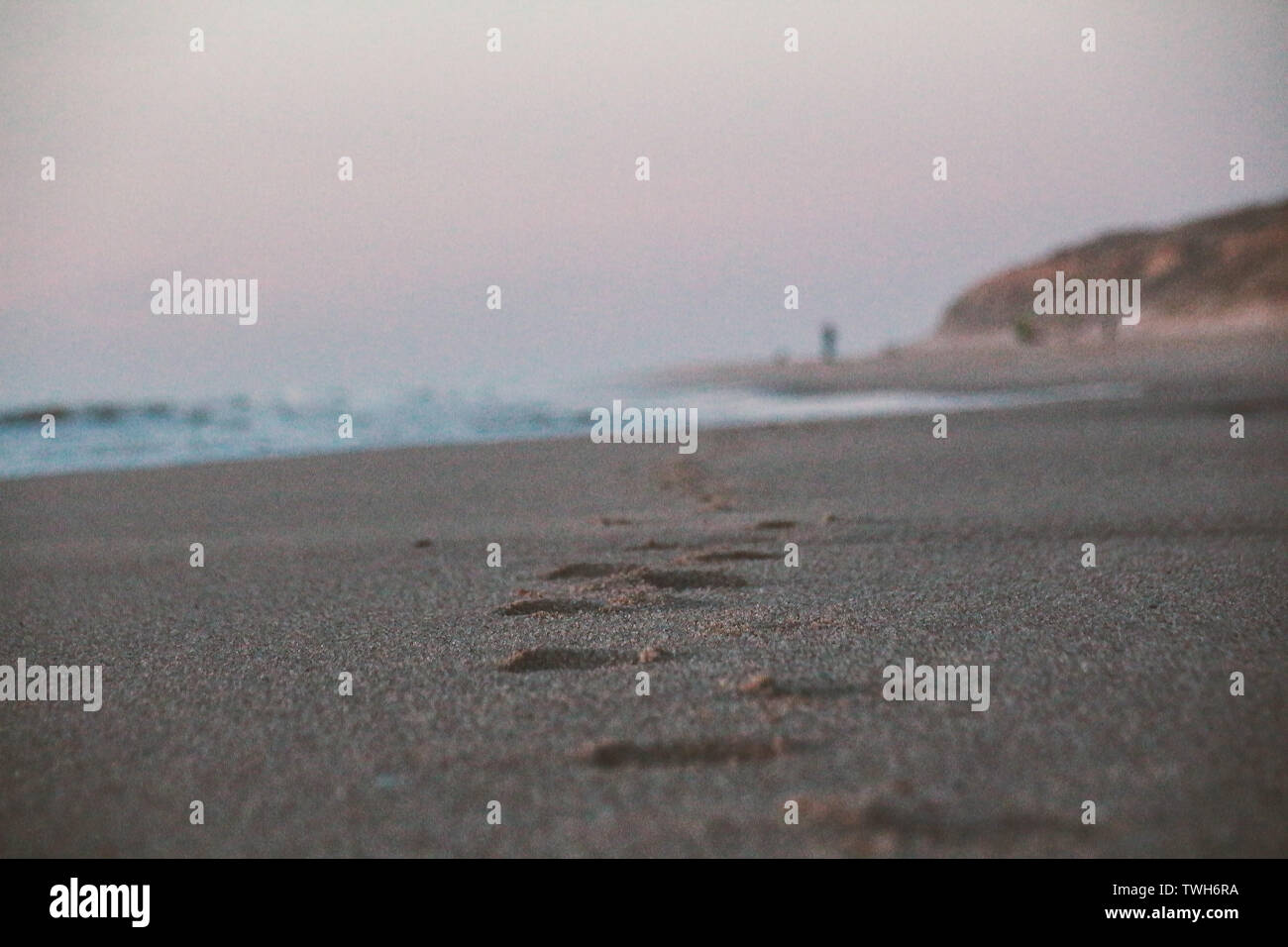 Sylt is located in the north of Germany. The holiday island shines with ...