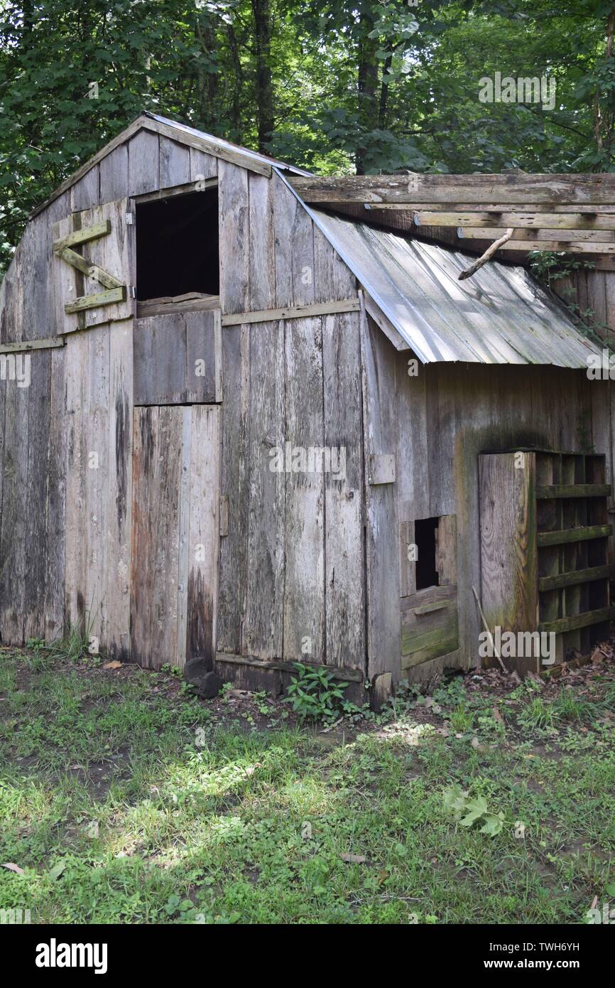 Wooded backyard hi-res stock photography and images - Alamy