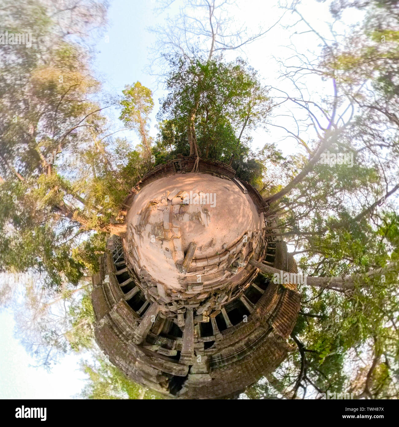 360 jungle hi-res stock photography and images - Alamy