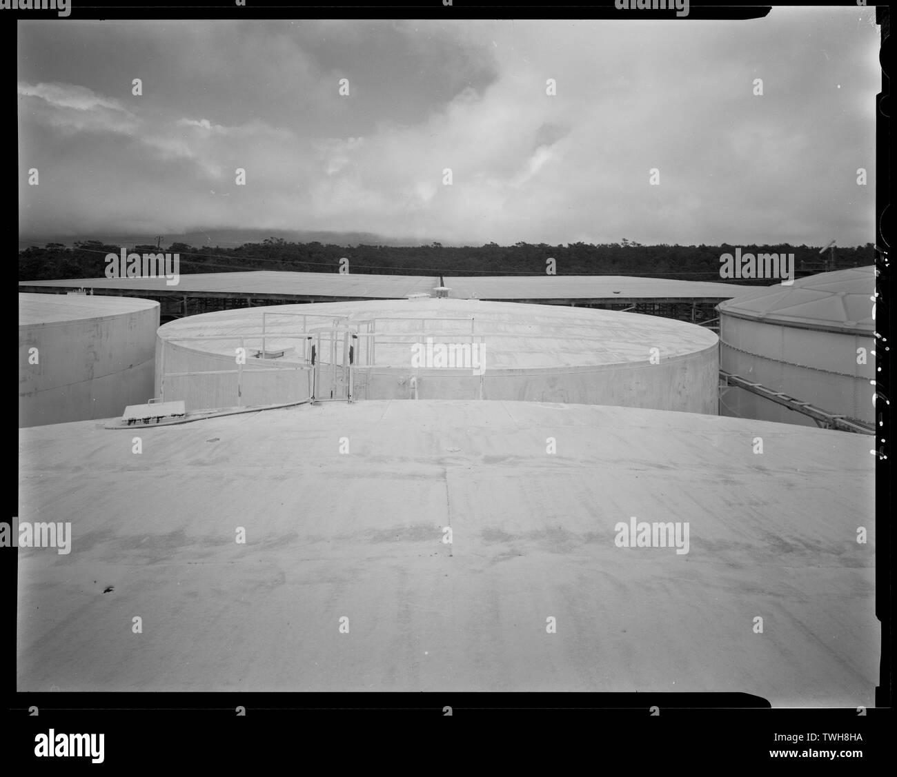 Natural water purification system Black and White Stock Photos & Images ...