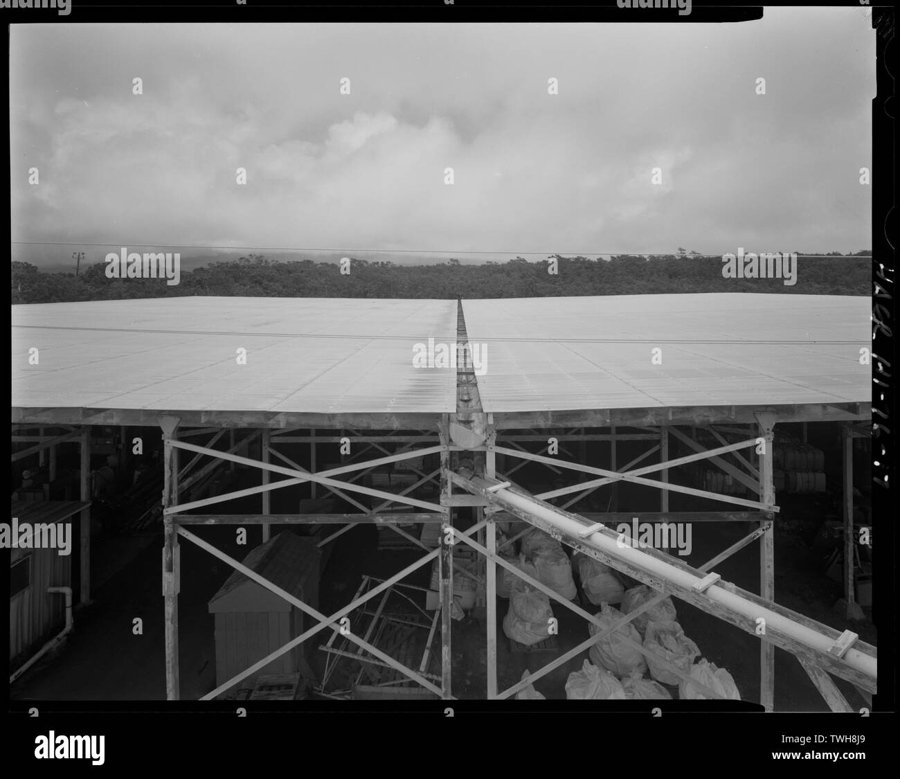 Rooftop view of new rain shed (Building No. 241) showing collection ...