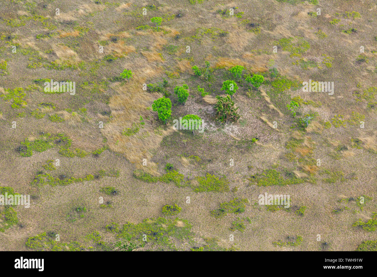 Kasanka National Park, Zambia, Africa Stock Photo - Alamy