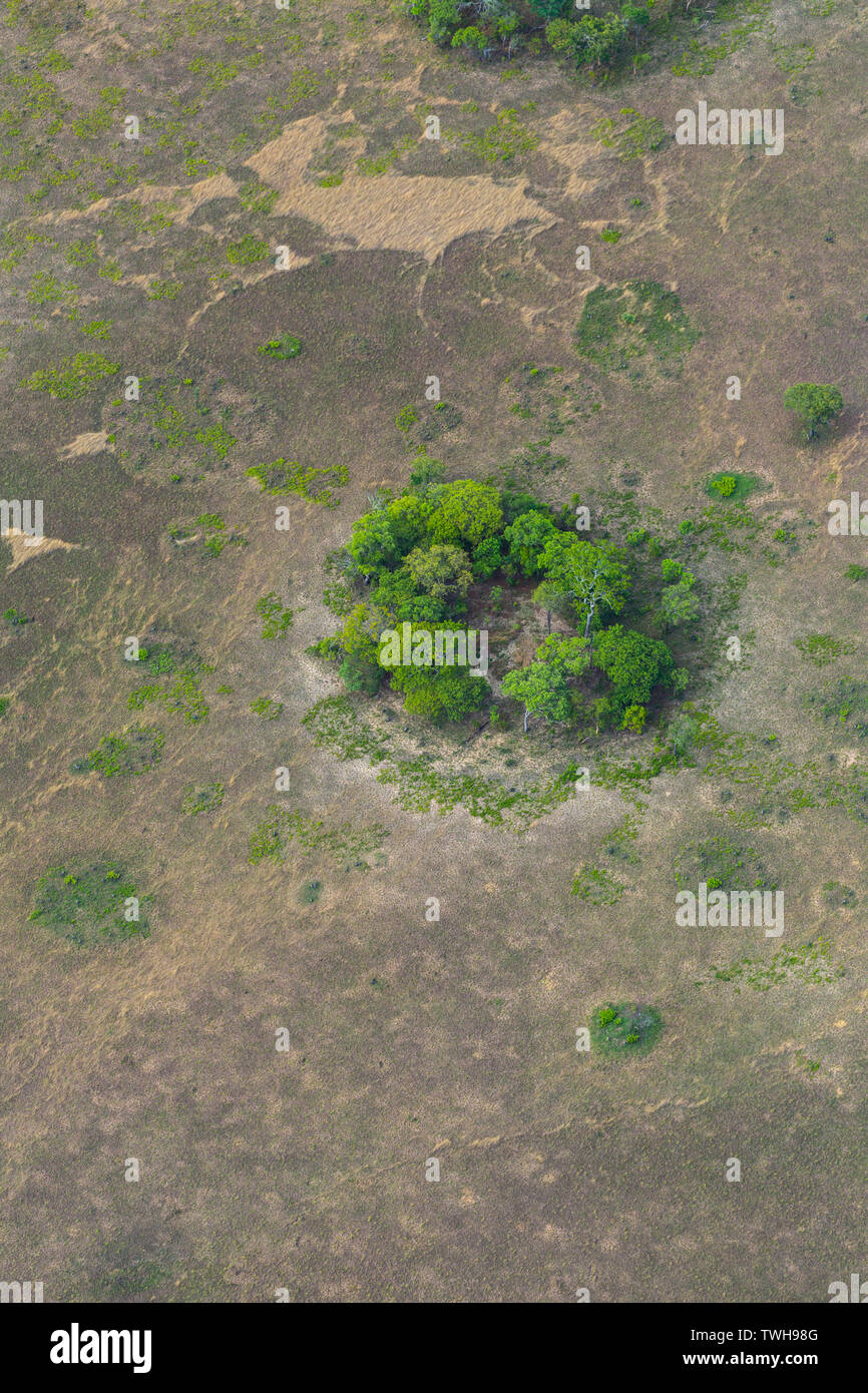 Kasanka National Park, Zambia, Africa Stock Photo - Alamy