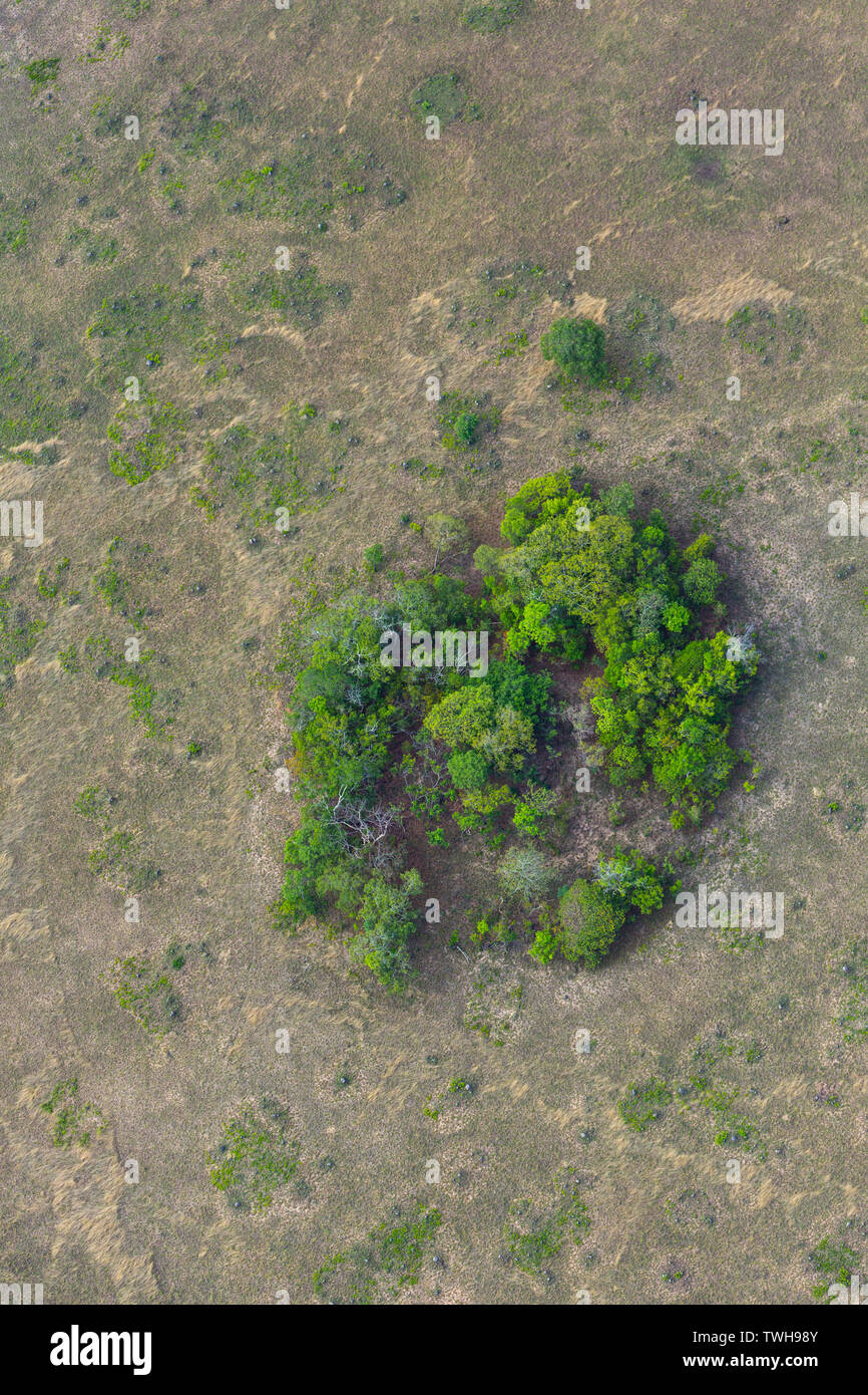Kasanka National Park, Zambia, Africa Stock Photo - Alamy