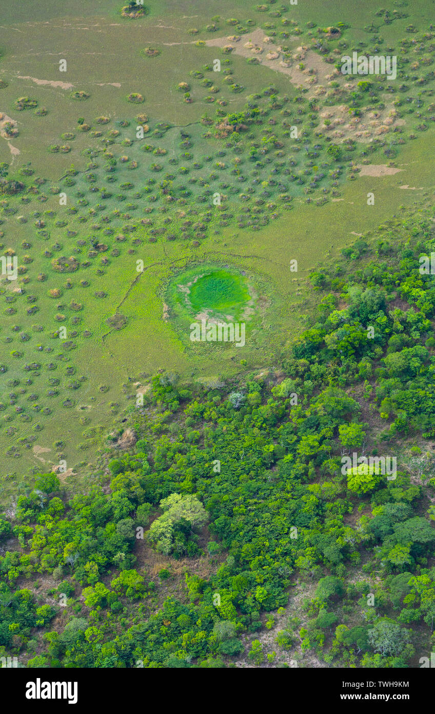 Kasanka National Park, Zambia, Africa Stock Photo - Alamy