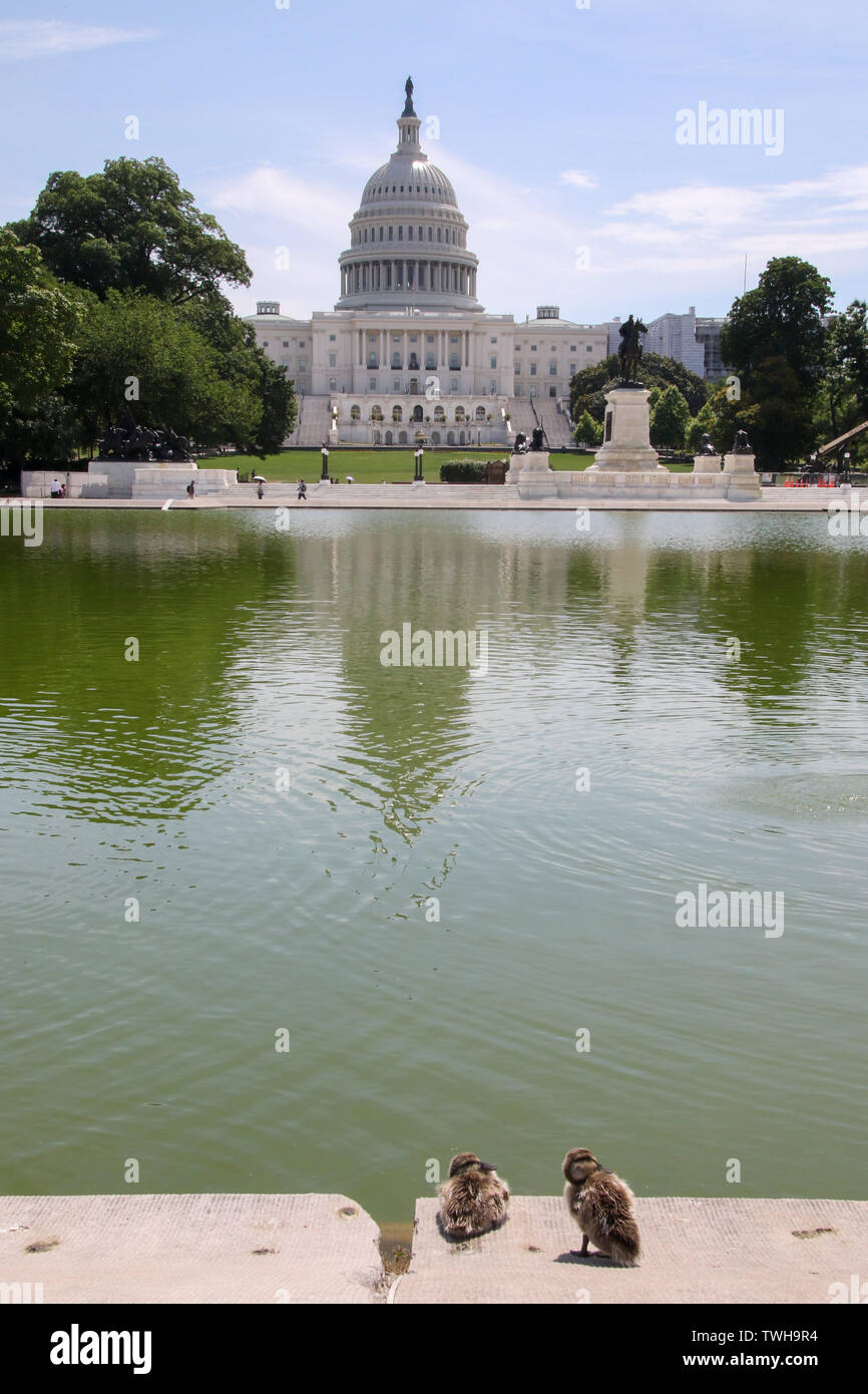 Capitol Building & National Mall, Washington DC Stock Photo - Alamy