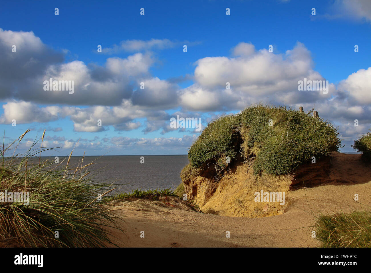 Sylt is located in the north of Germany. The holiday island shines with ...