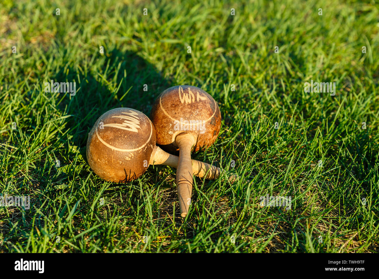 Cuban maracas lie on the green grass. Traditional musical instrument ...