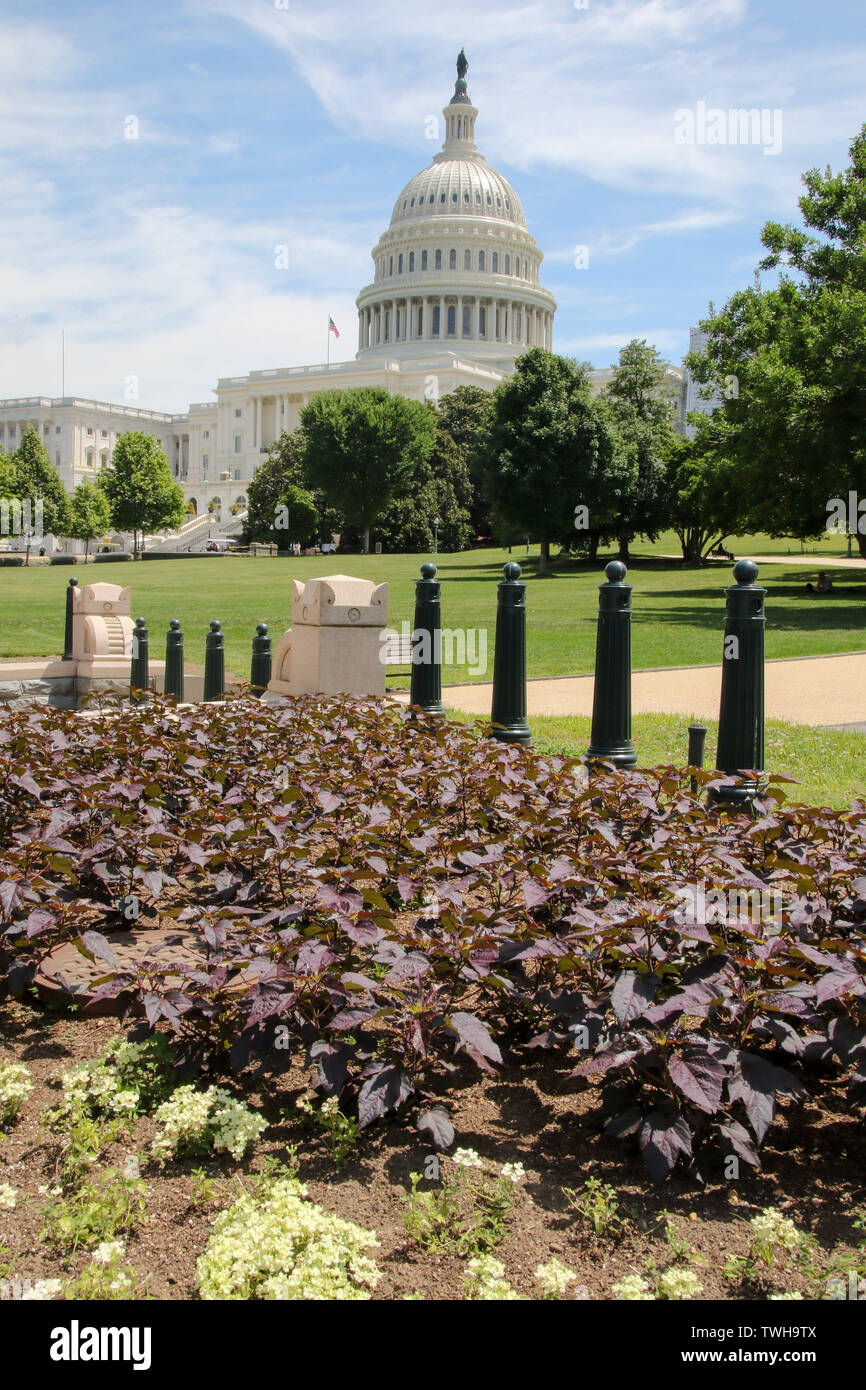 Capitol Building & United States Botanical Gardens, Washington DC Stock ...