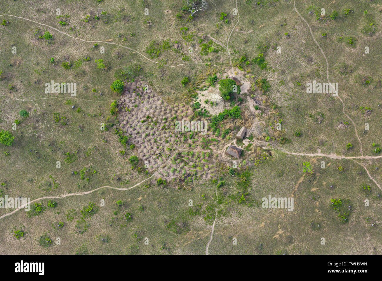 Kasanka National Park, Zambia, Africa Stock Photo - Alamy