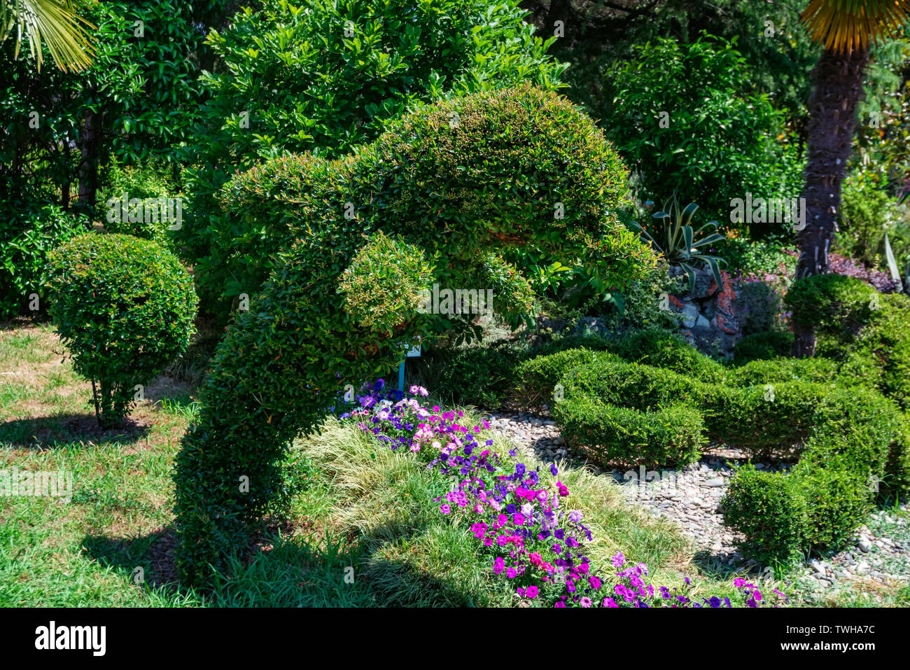 Green dolphin topiary in sunny park close Stock Photo - Alamy
