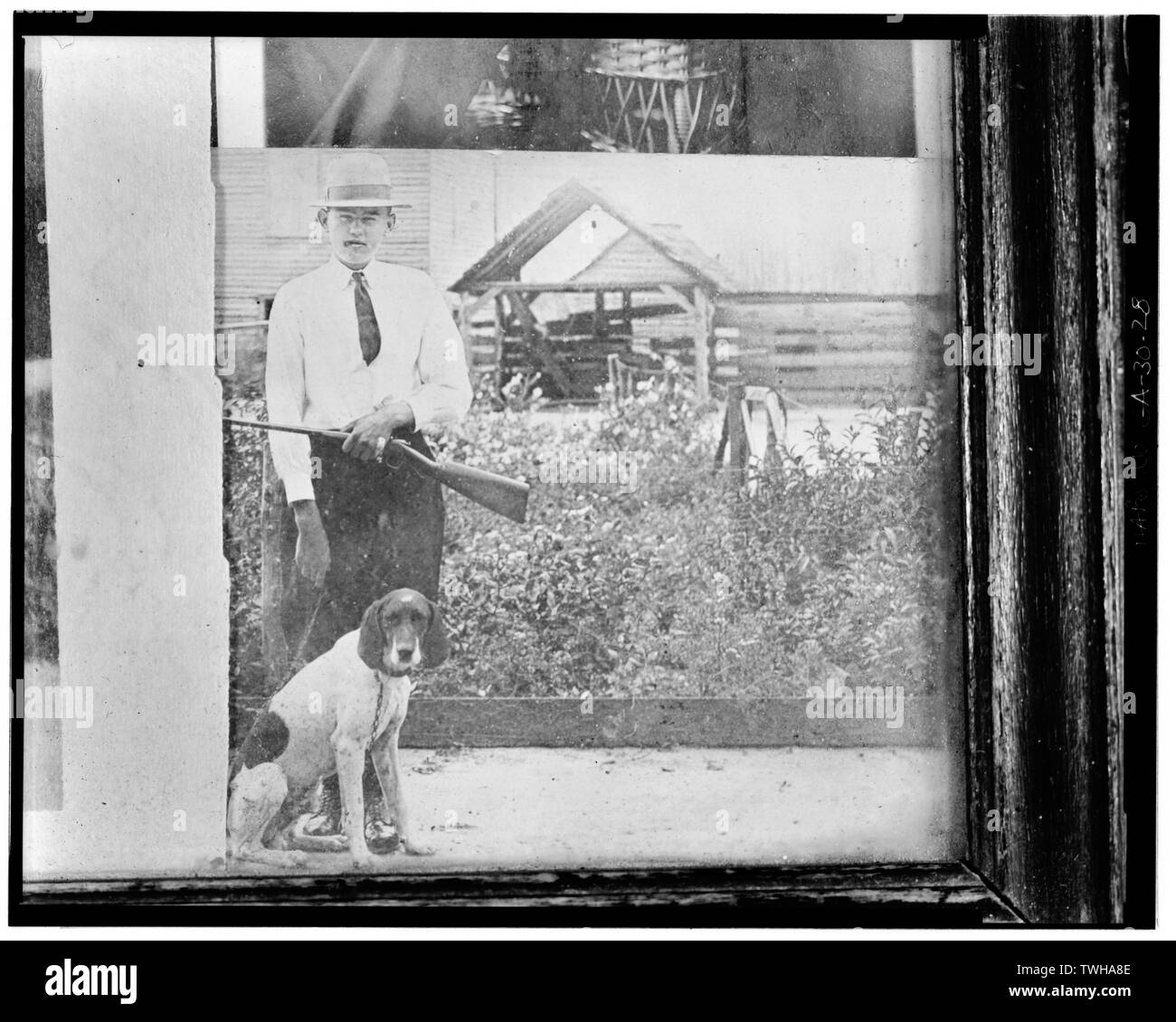 House farm animals in Black and White Stock Photos & Images - Alamy