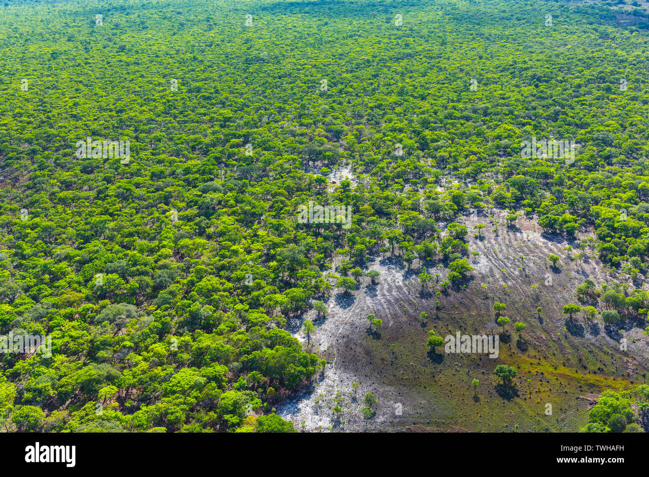 Kasanka National Park, Serenje, Provincia central, Zambia, Africa Stock ...