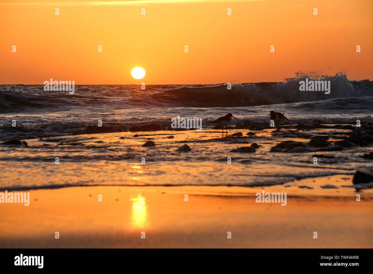 Sylt is located in the north of Germany. The holiday island shines with ...