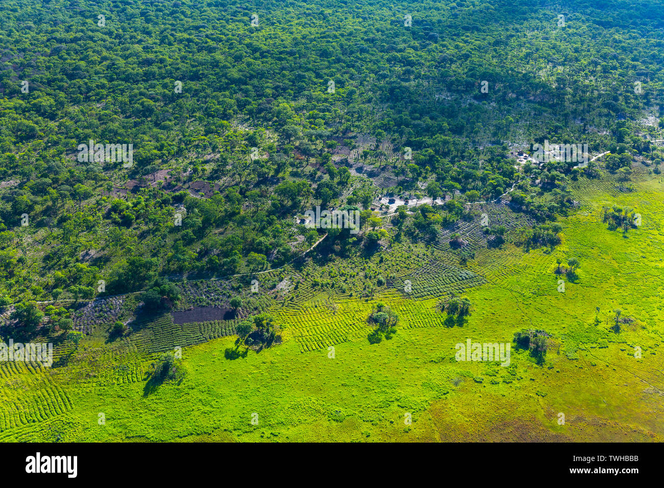 Kasanka National Park, Serenje, Provincia central, Zambia, Africa Stock ...