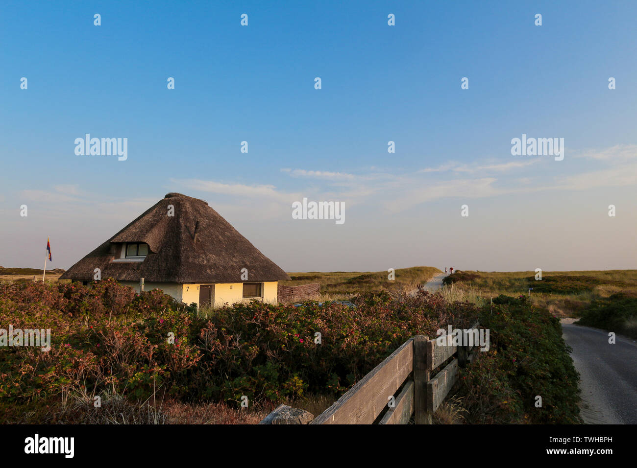 Sylt is located in the north of Germany. The holiday island shines with ...