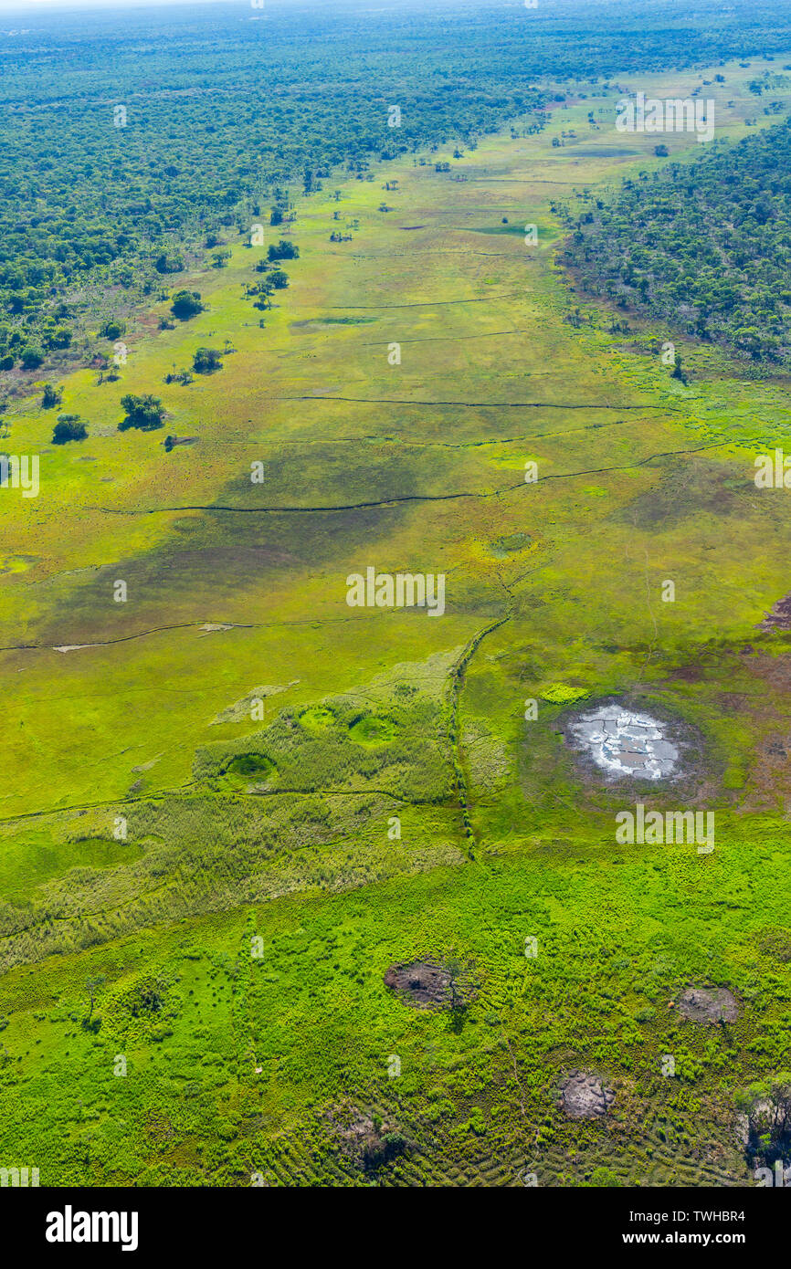 Kasanka National Park, Serenje, Provincia central, Zambia, Africa Stock ...