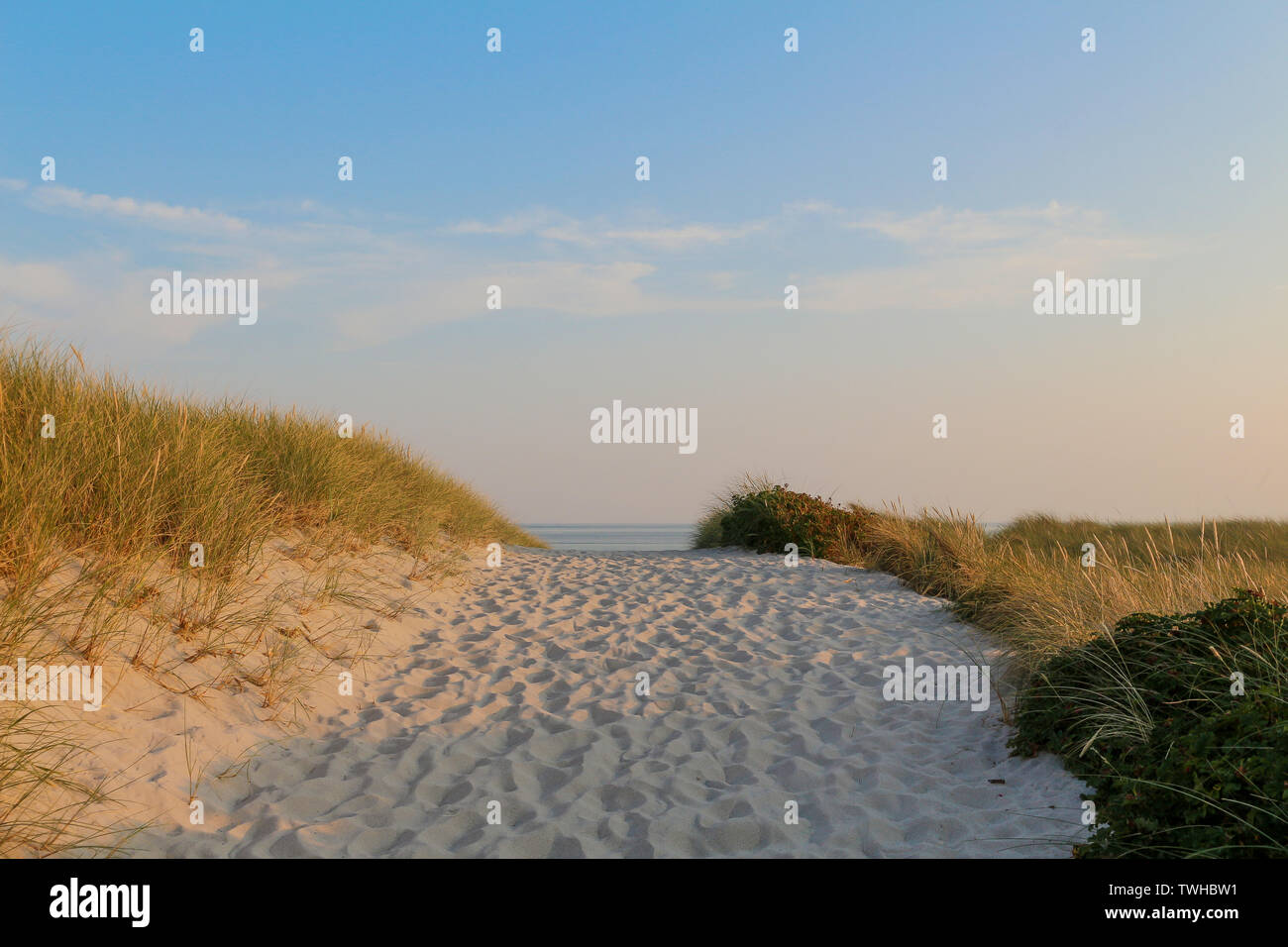 Sylt is located in the north of Germany. The holiday island shines with ...