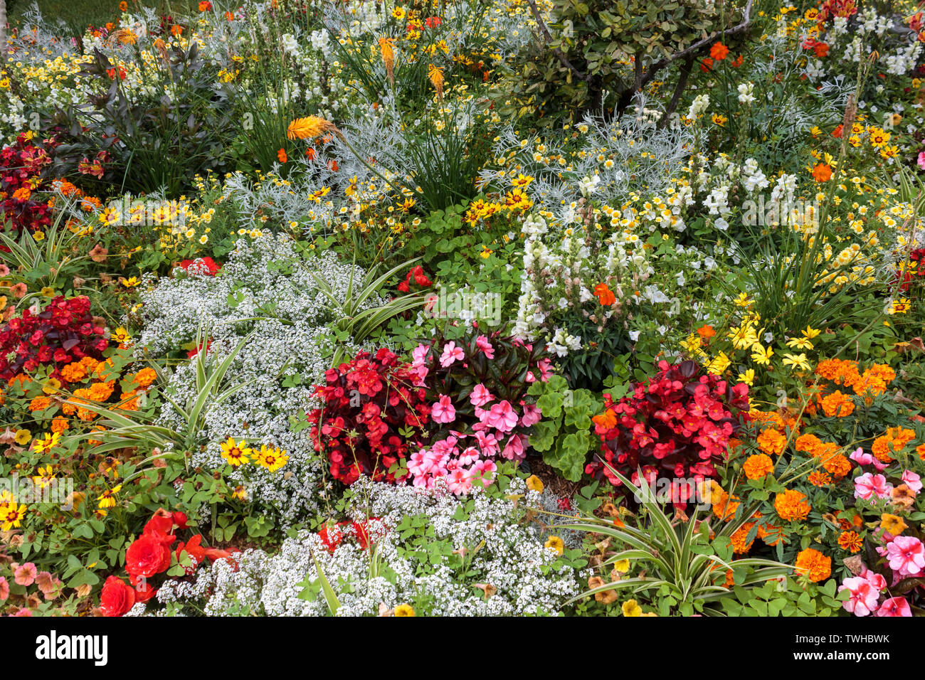 Beautiful flower bed with flowers of all colours Stock Photo - Alamy