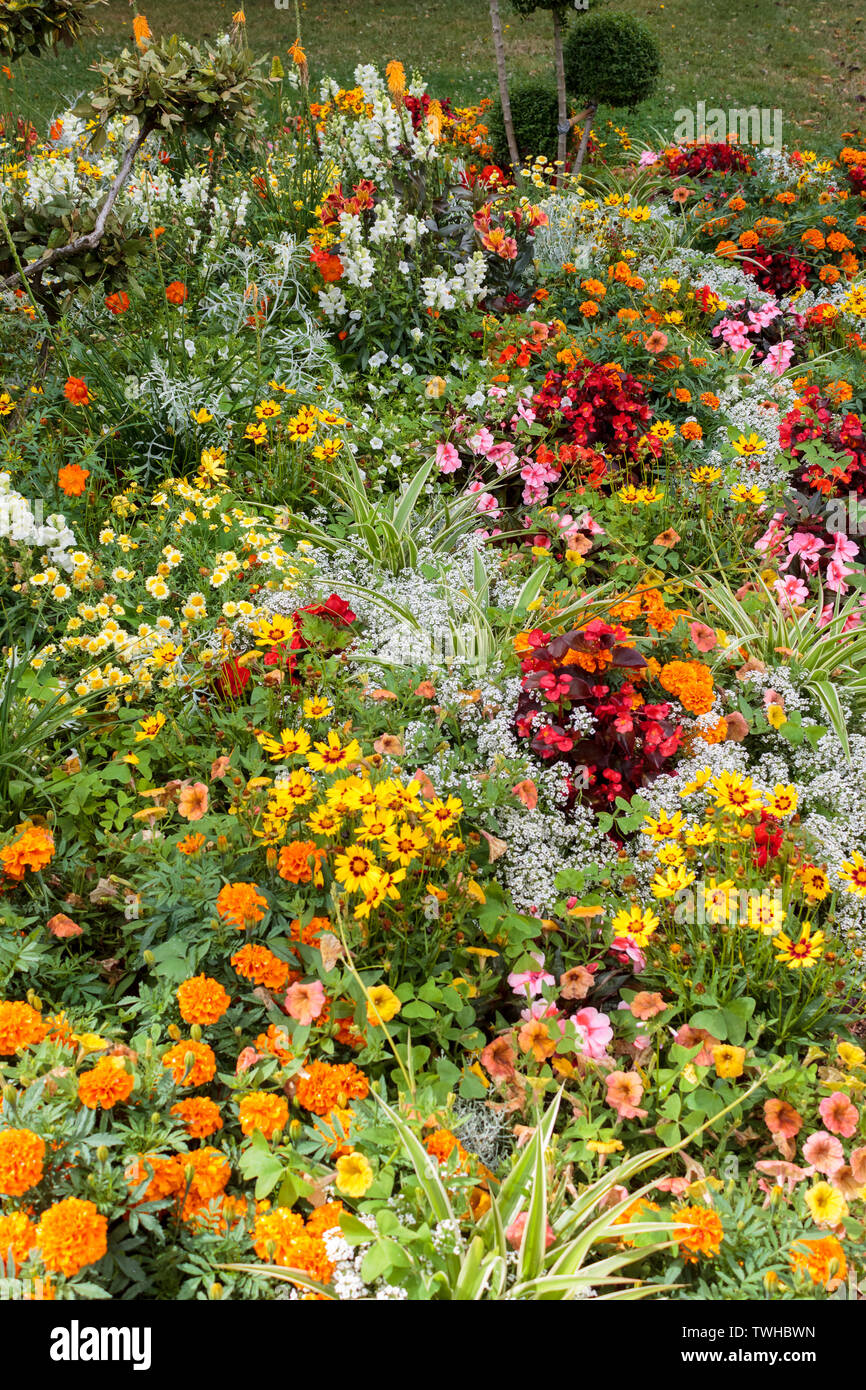 Beautiful flower bed with flowers of all colours Stock Photo - Alamy