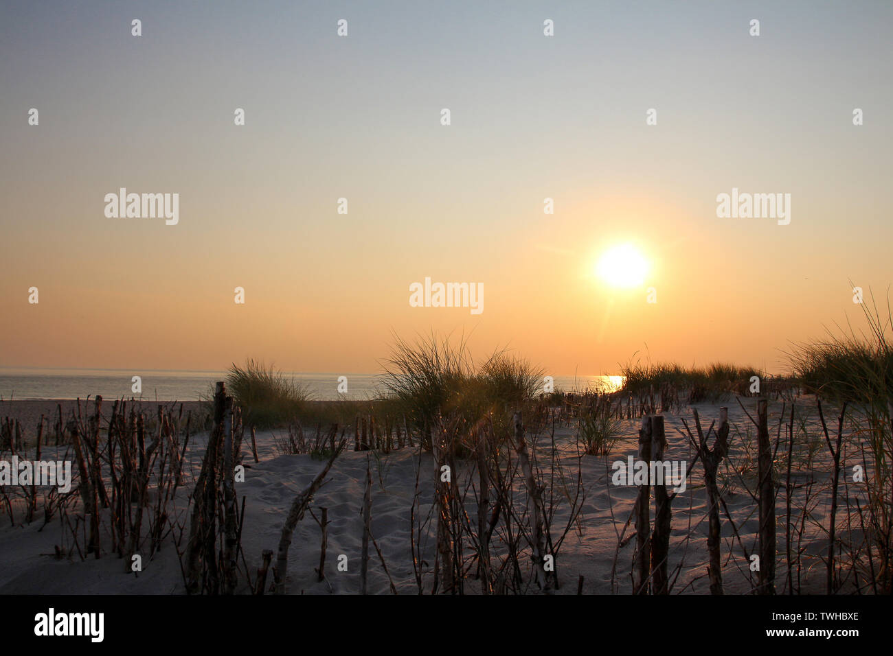 Sylt is located in the north of Germany. The holiday island shines with ...