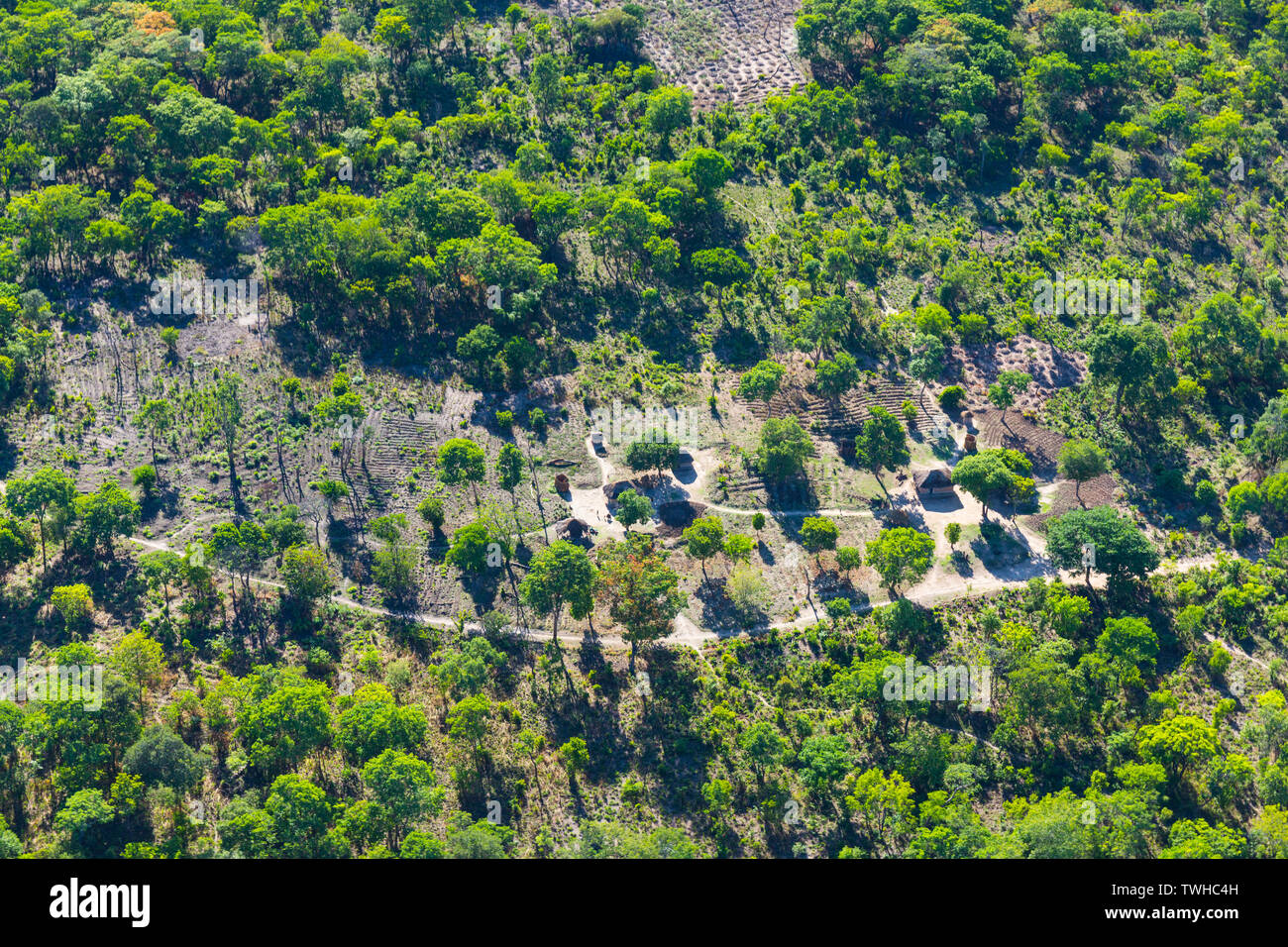 Kasanka National Park, Serenje, Provincia central, Zambia, Africa Stock ...