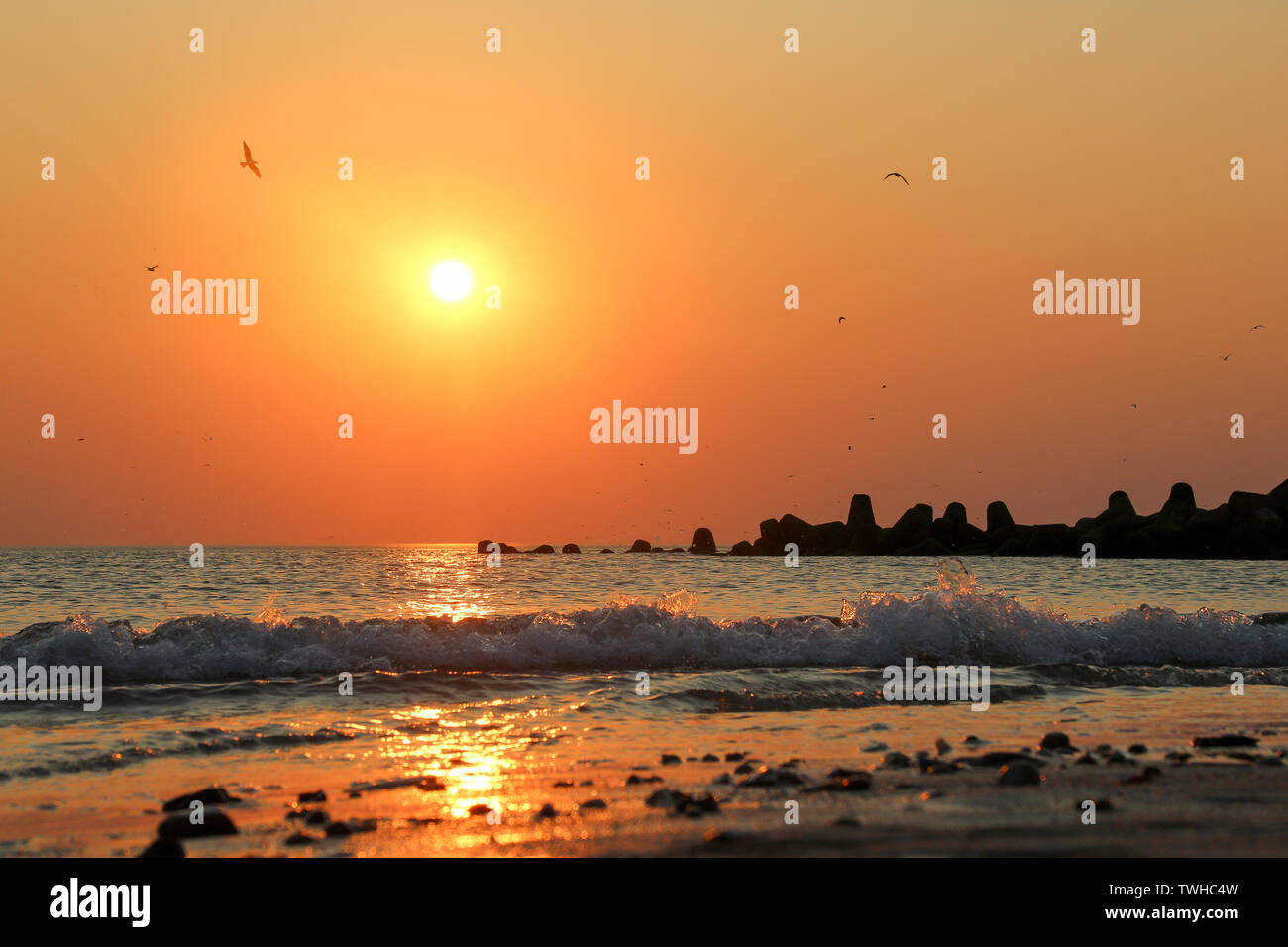 Sylt is located in the north of Germany. The holiday island shines with ...