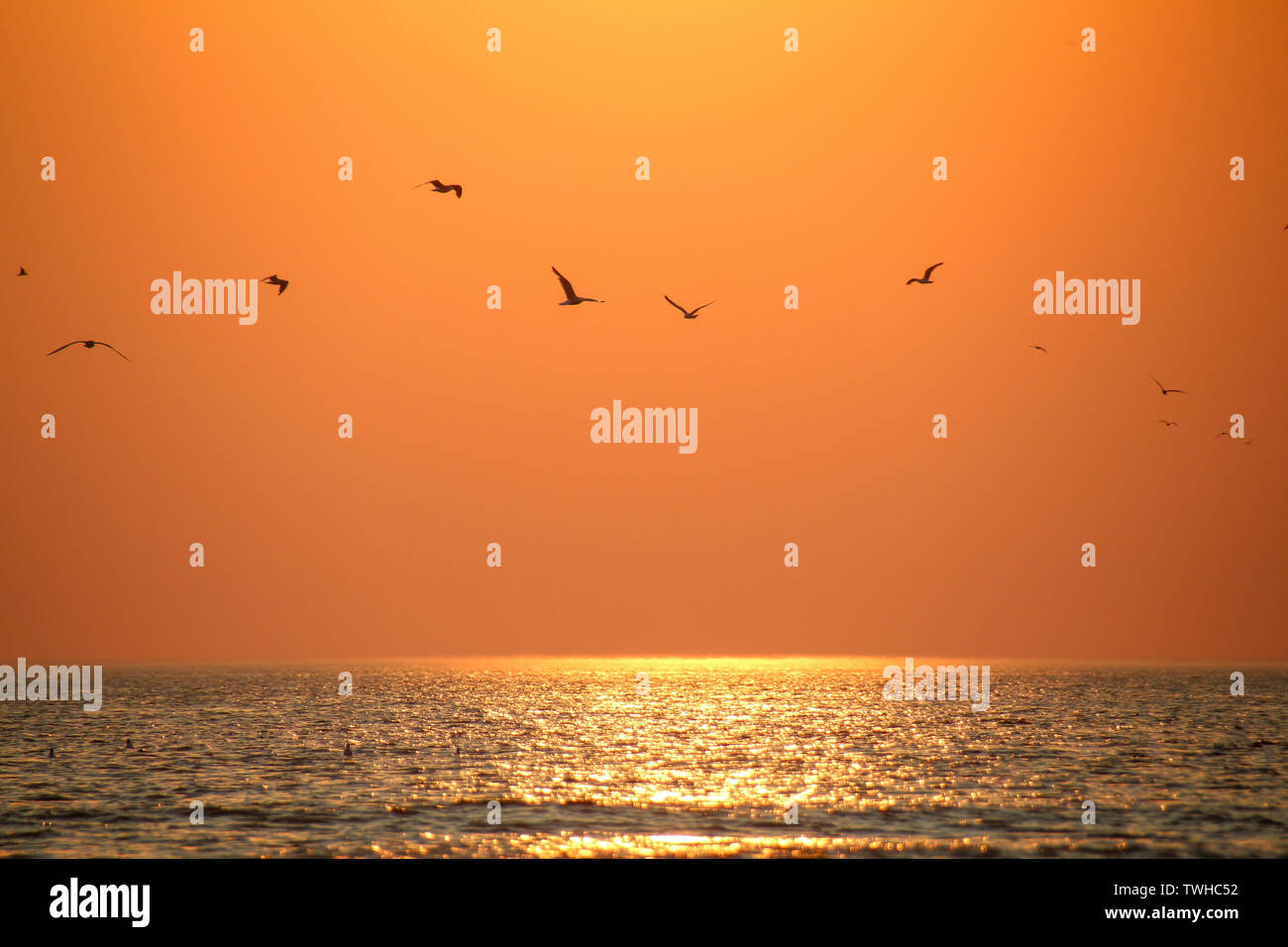 Sylt is located in the north of Germany. The holiday island shines with ...