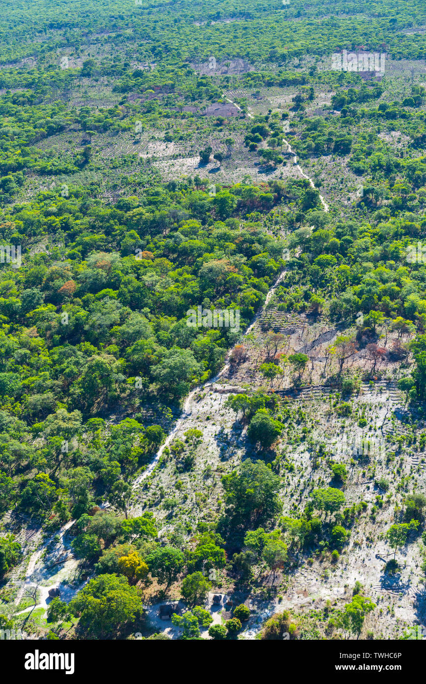 Kasanka National Park, Serenje, Provincia central, Zambia, Africa Stock ...