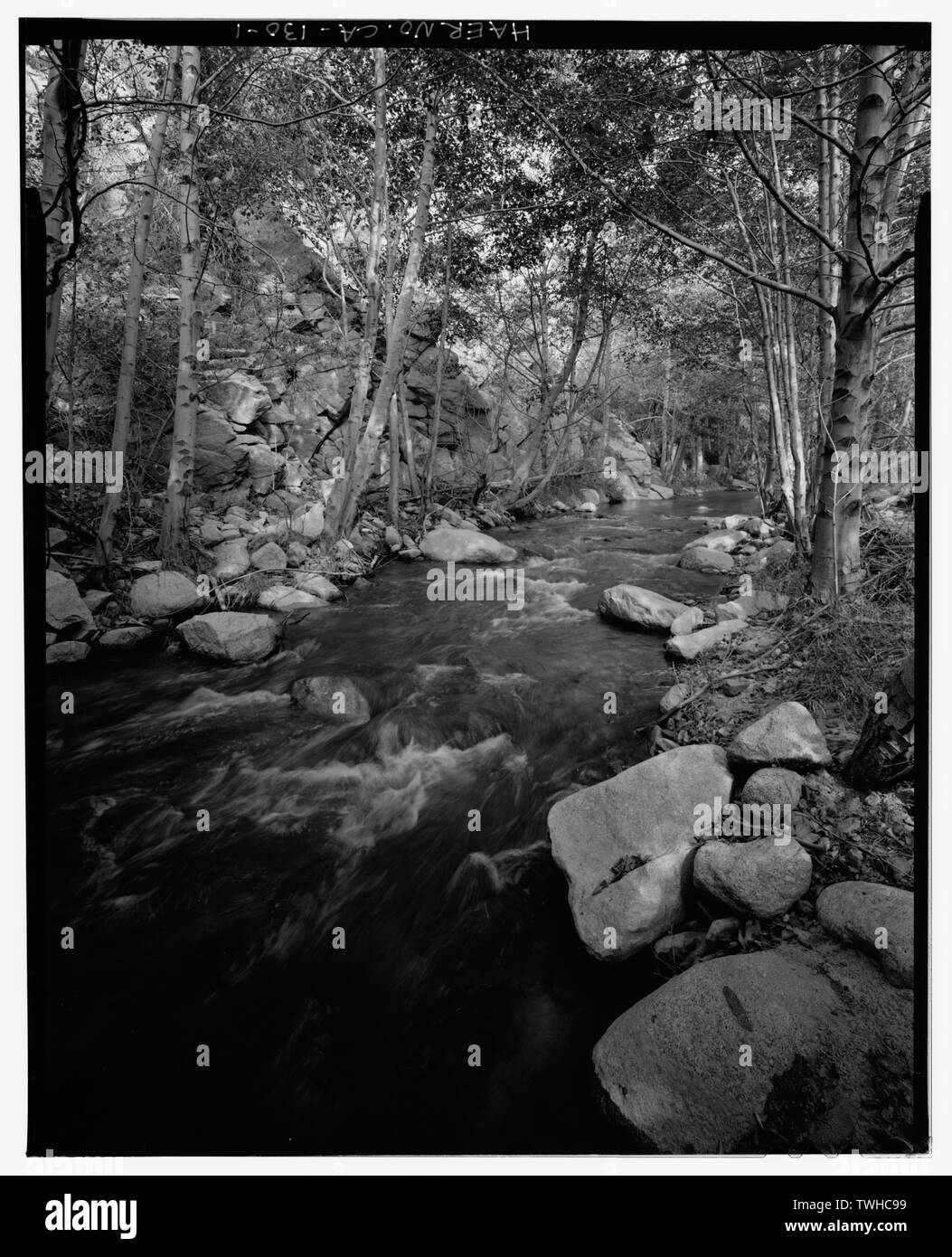 SANTA ANA RIVER, FREE FLOWING JUST ABOVE SAR-1 INTAKE AT DIVERSION DAM ...