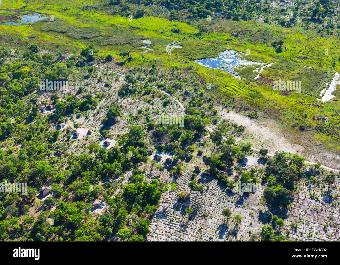 Kasanka National Park, Serenje, Provincia central, Zambia, Africa Stock ...