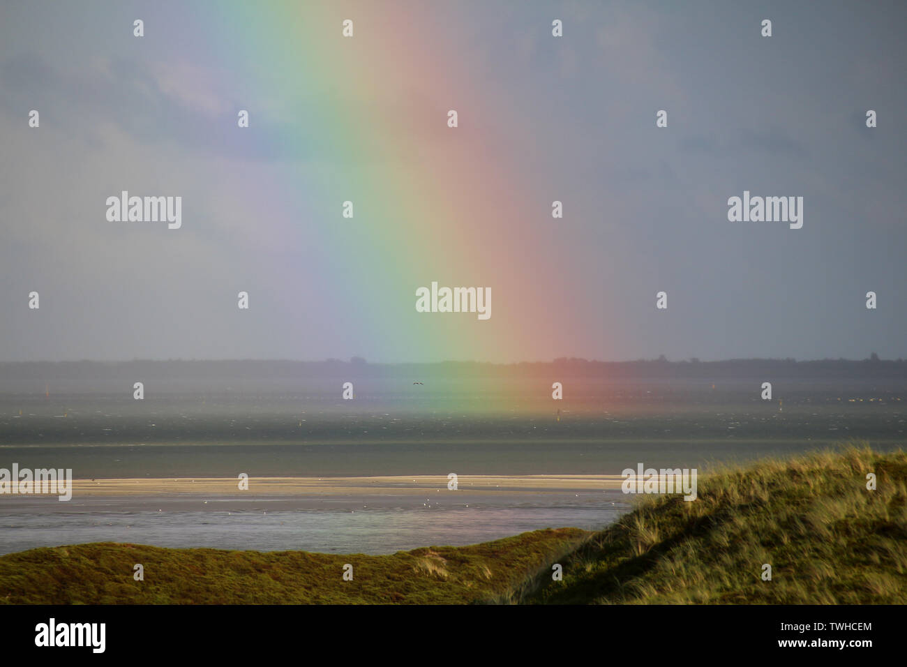 Sylt is located in the north of Germany. The holiday island shines with ...