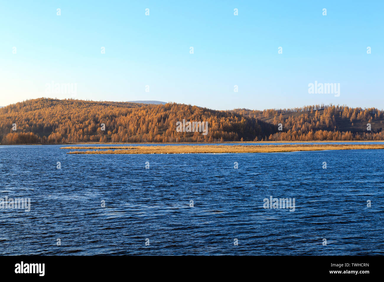 Azalea Lake High Resolution Stock Photography and Images - Alamy