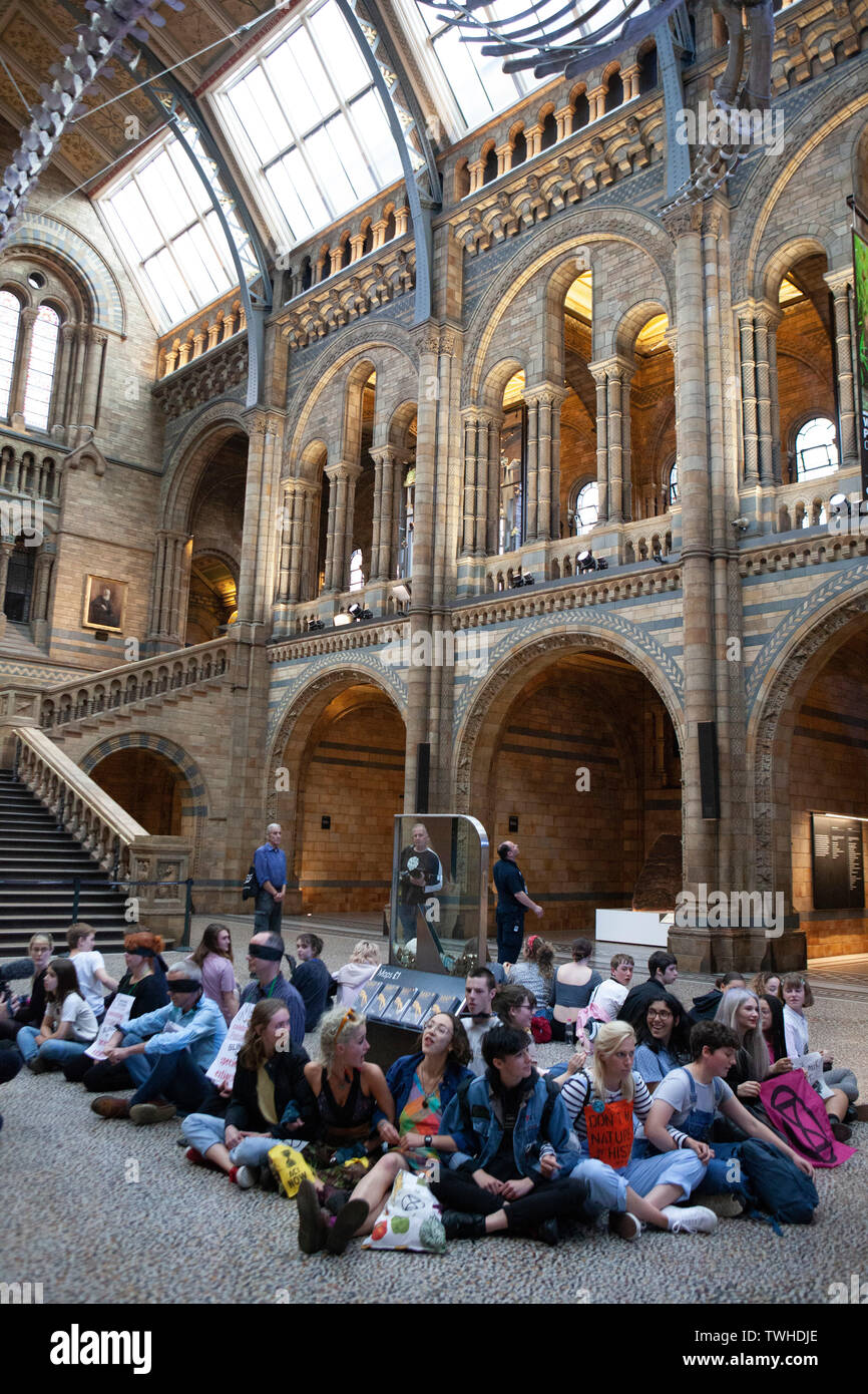Extinction Rebellion protesters at the Natural History Museum opposing ...