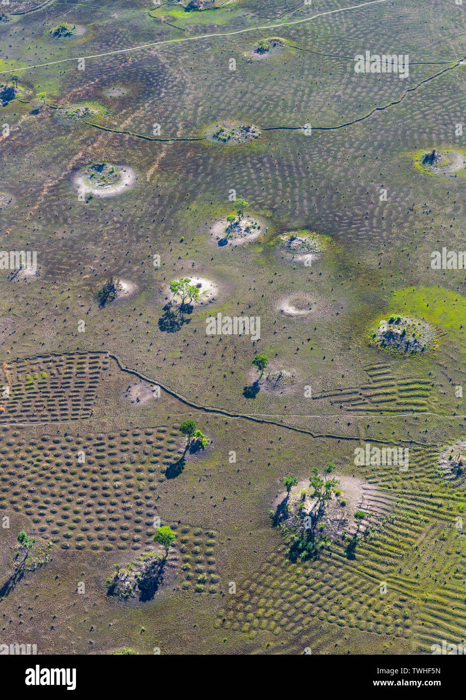 Kasanka National Park, Serenje, Provincia central, Zambia, Africa Stock ...