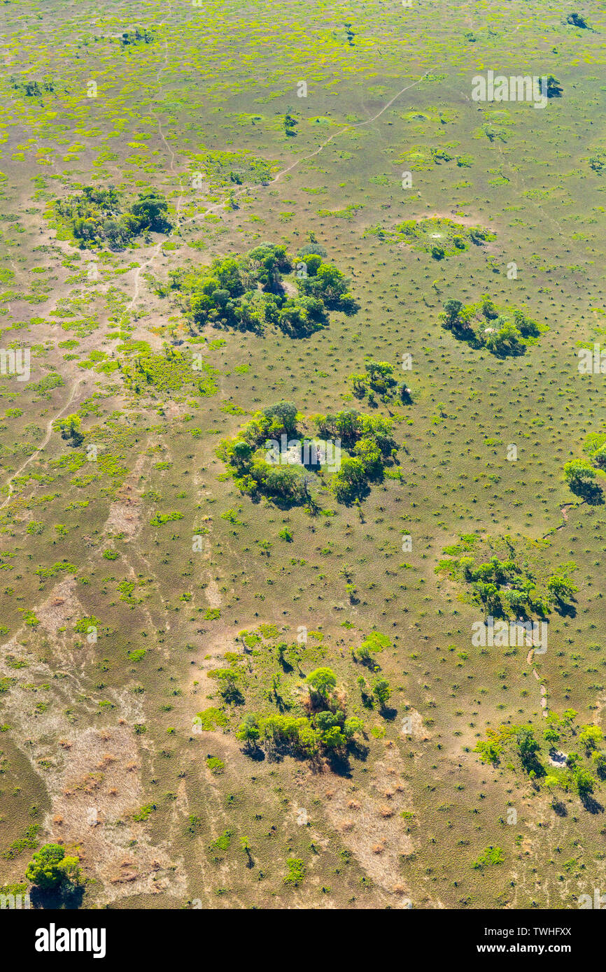 Kasanka National Park, Serenje, Provincia central, Zambia, Africa Stock ...