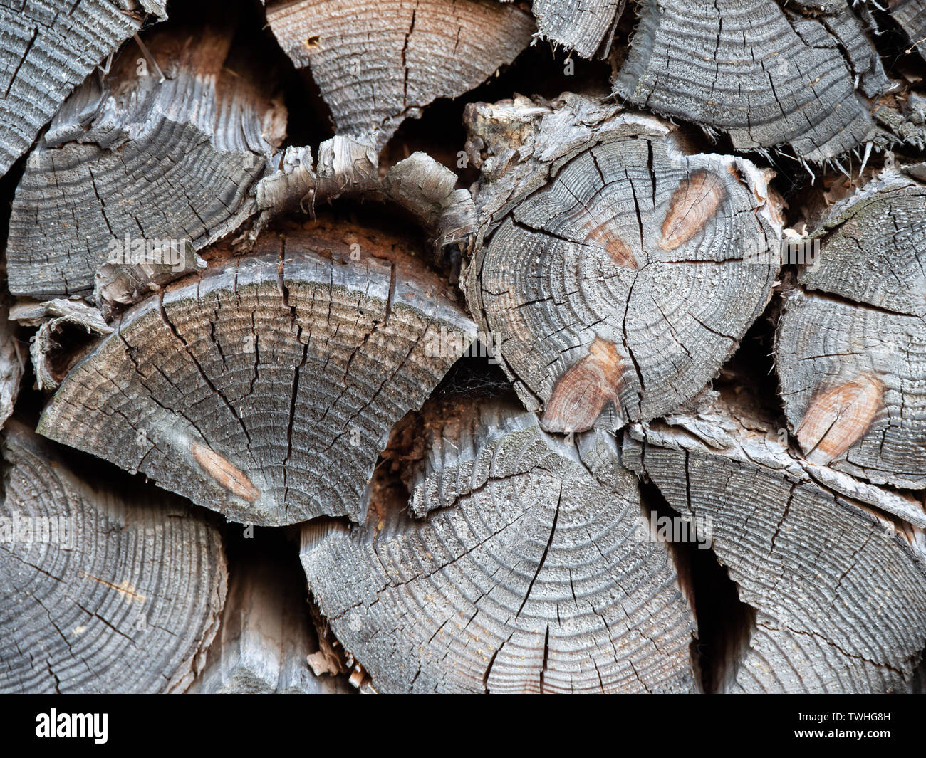 Lay firewood hi-res stock photography and images - Alamy