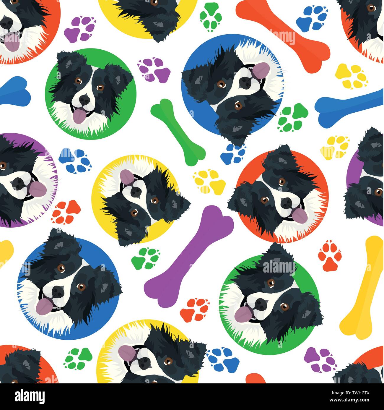 Playful border collie Stock Vector Images - Alamy