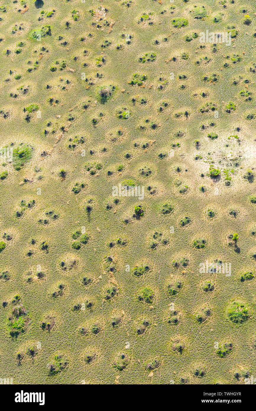 Kasanka National Park, Serenje, Provincia central, Zambia, Africa Stock ...