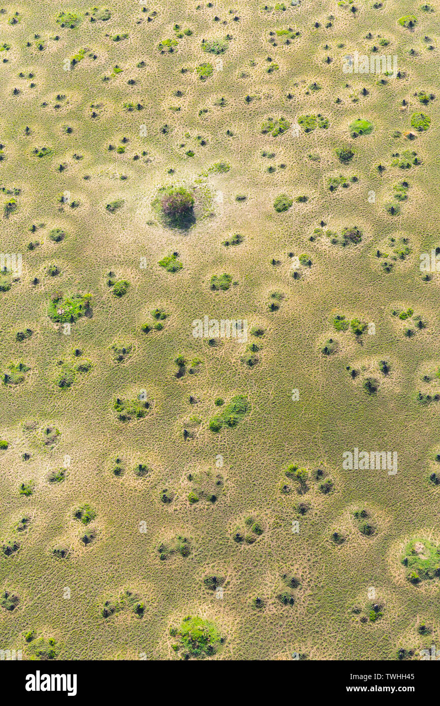 Kasanka National Park, Serenje, Provincia central, Zambia, Africa Stock ...